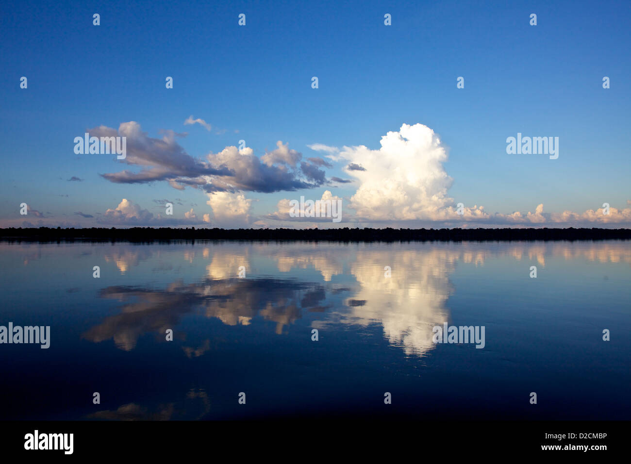 Towering cumulus cloud reflected on still Amazon River waters during ...