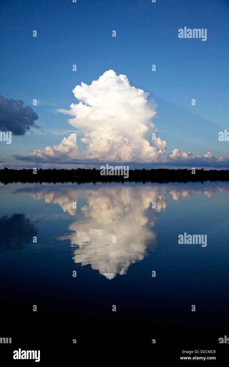 Amazon cloud hi-res stock photography and images - Alamy