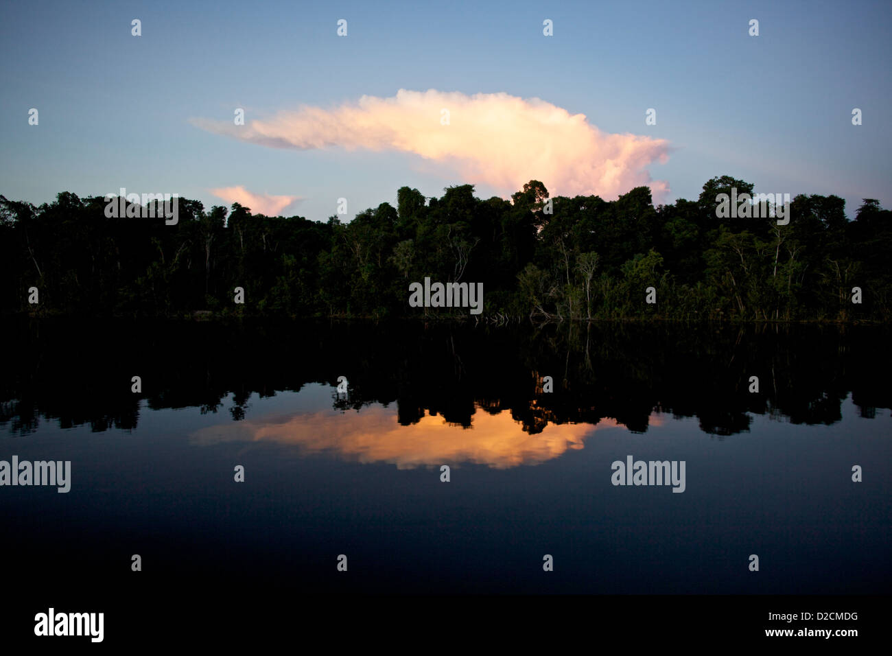 Jungle sunset hi-res stock photography and images - Alamy