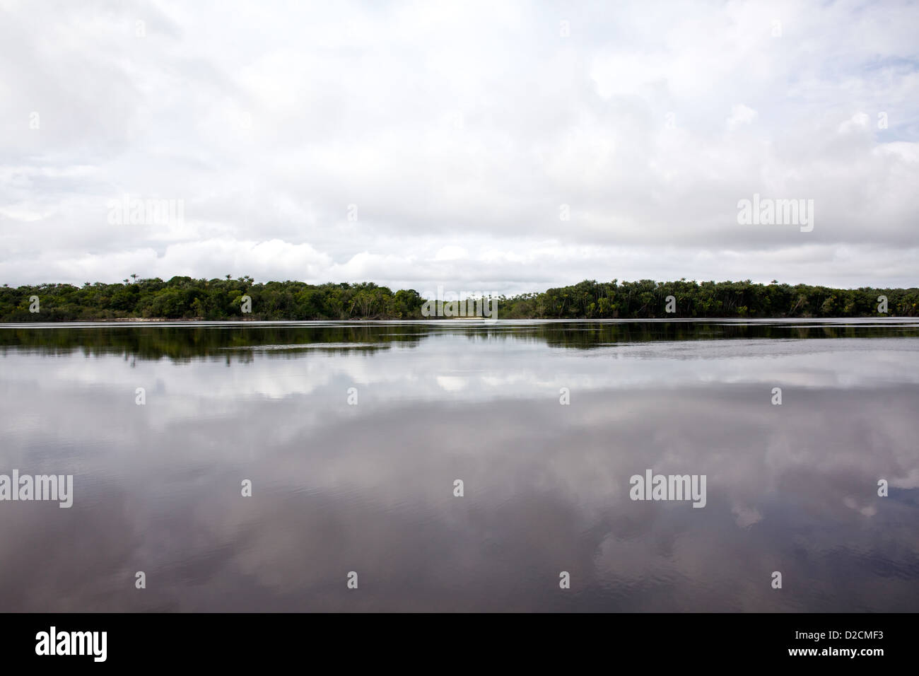 Rainforest amazon basin hi-res stock photography and images - Alamy