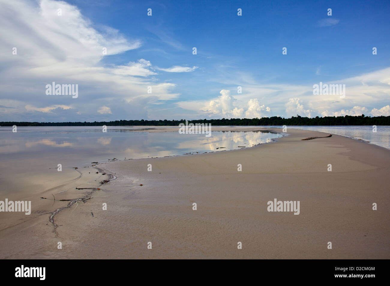 Amazon riverbank hi-res stock photography and images - Alamy