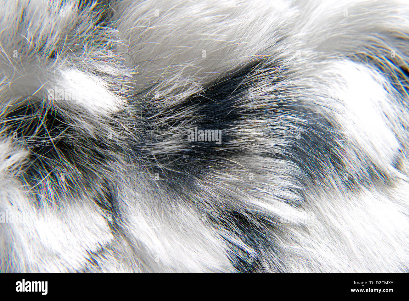 Full frame macro fur texture Stock Photo - Alamy Full frame macro fur texture Stock Photo - Alamy