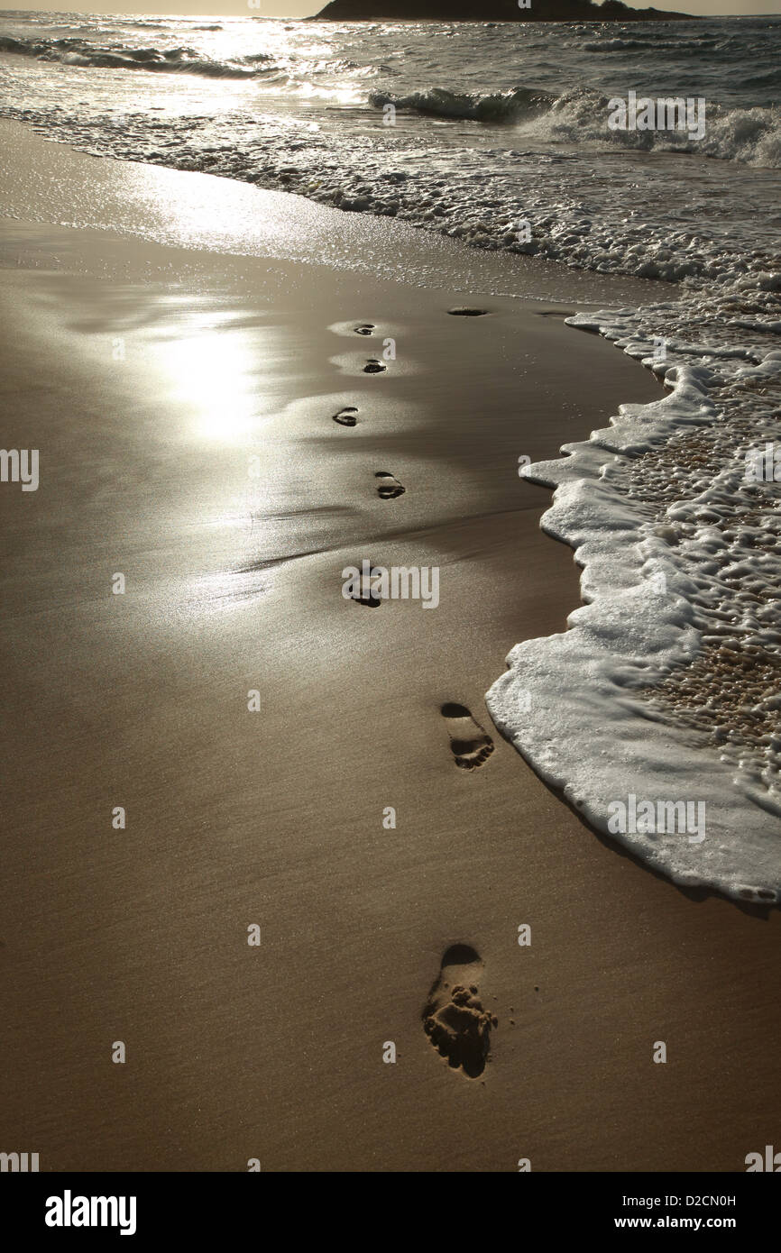 One set of human footprints in the wet sand on a deserted beach in the ...