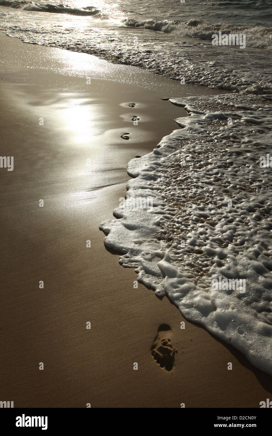 One set of human footprints in the wet sand on a deserted beach in the ...