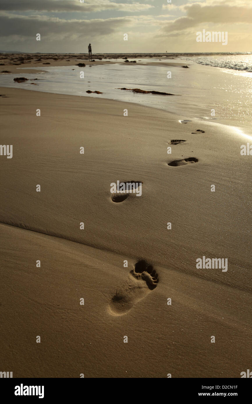 One set of human footprints in the wet sand on a deserted beach in the ...