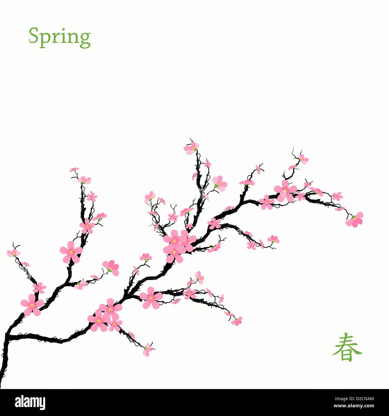 Beautiful spring cherry blossom with chinese text Stock Photo - Alamy