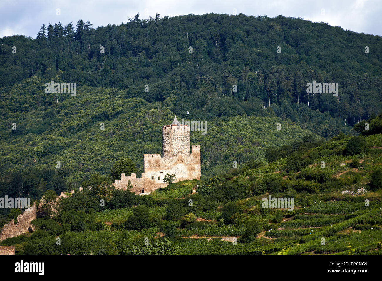 Kaysersberg castle, Alsace, France Stock Photo - Alamy