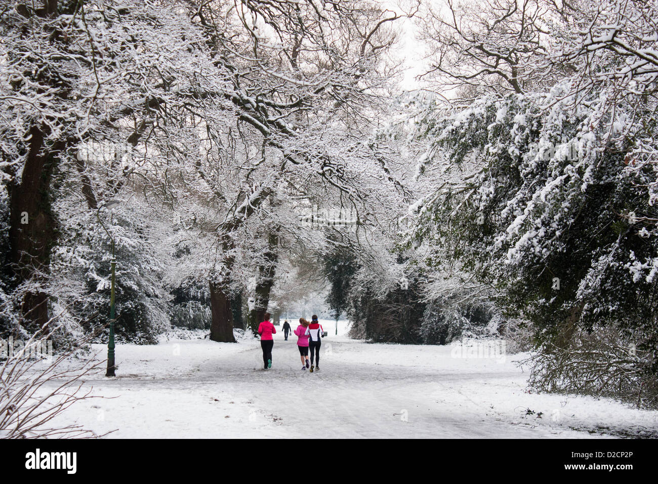 Southampton common in southampton hi-res stock photography and images ...