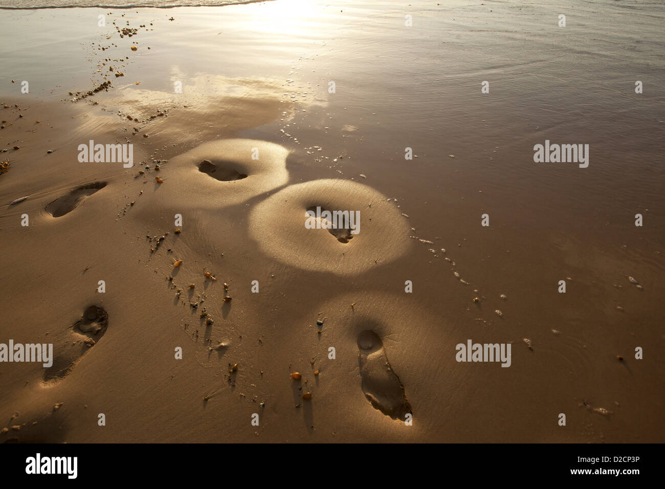 One set of human footprints in the wet sand on a deserted beach in the ...