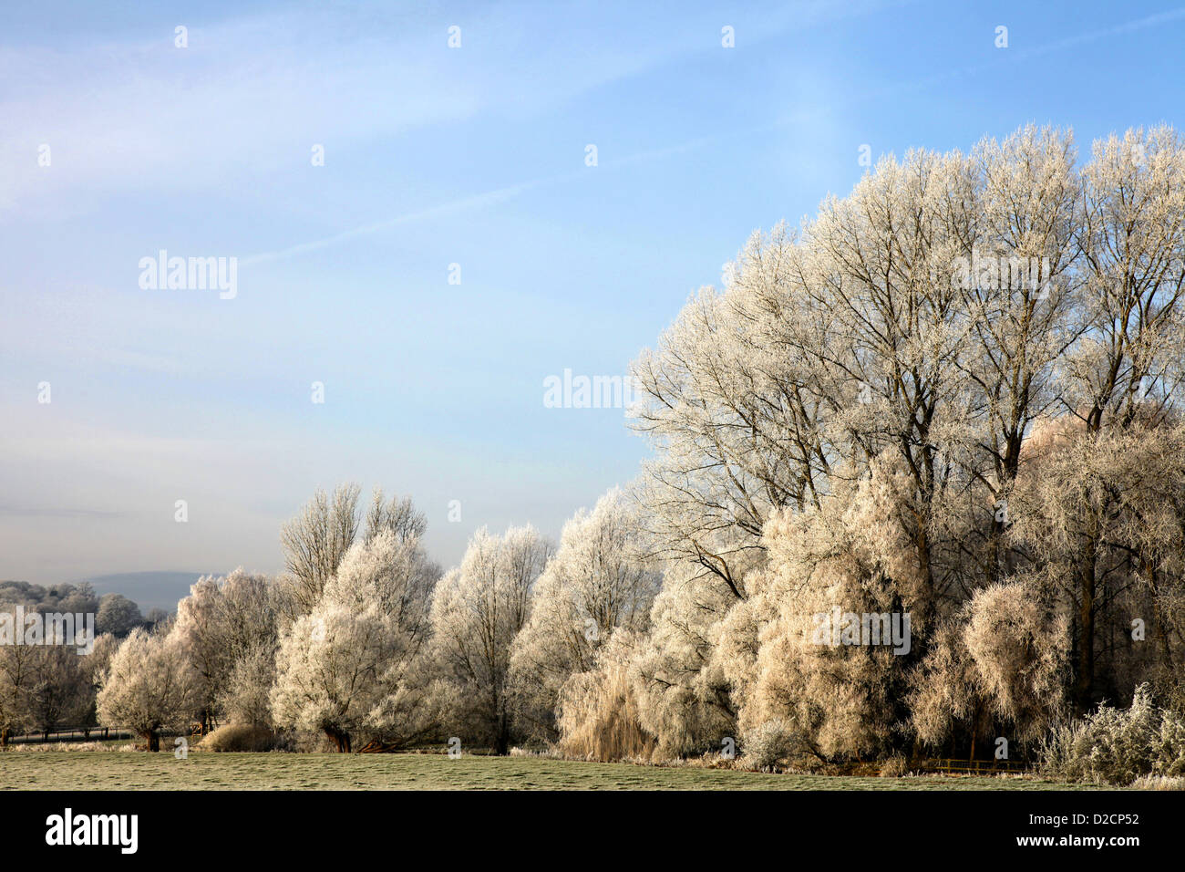 Hawfrost High Resolution Stock Photography and Images - Alamy