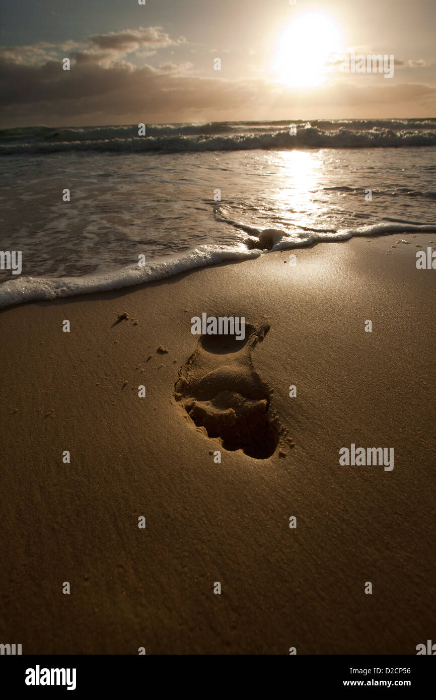 One set of human footprints in the wet sand on a deserted beach in the ...