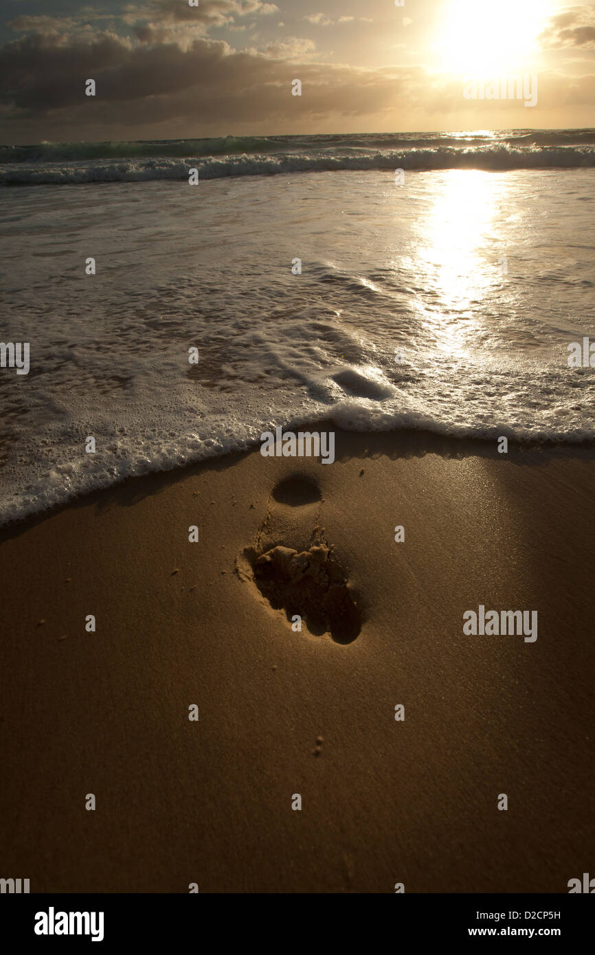 One set of human footprints in the wet sand on a deserted beach in the ...