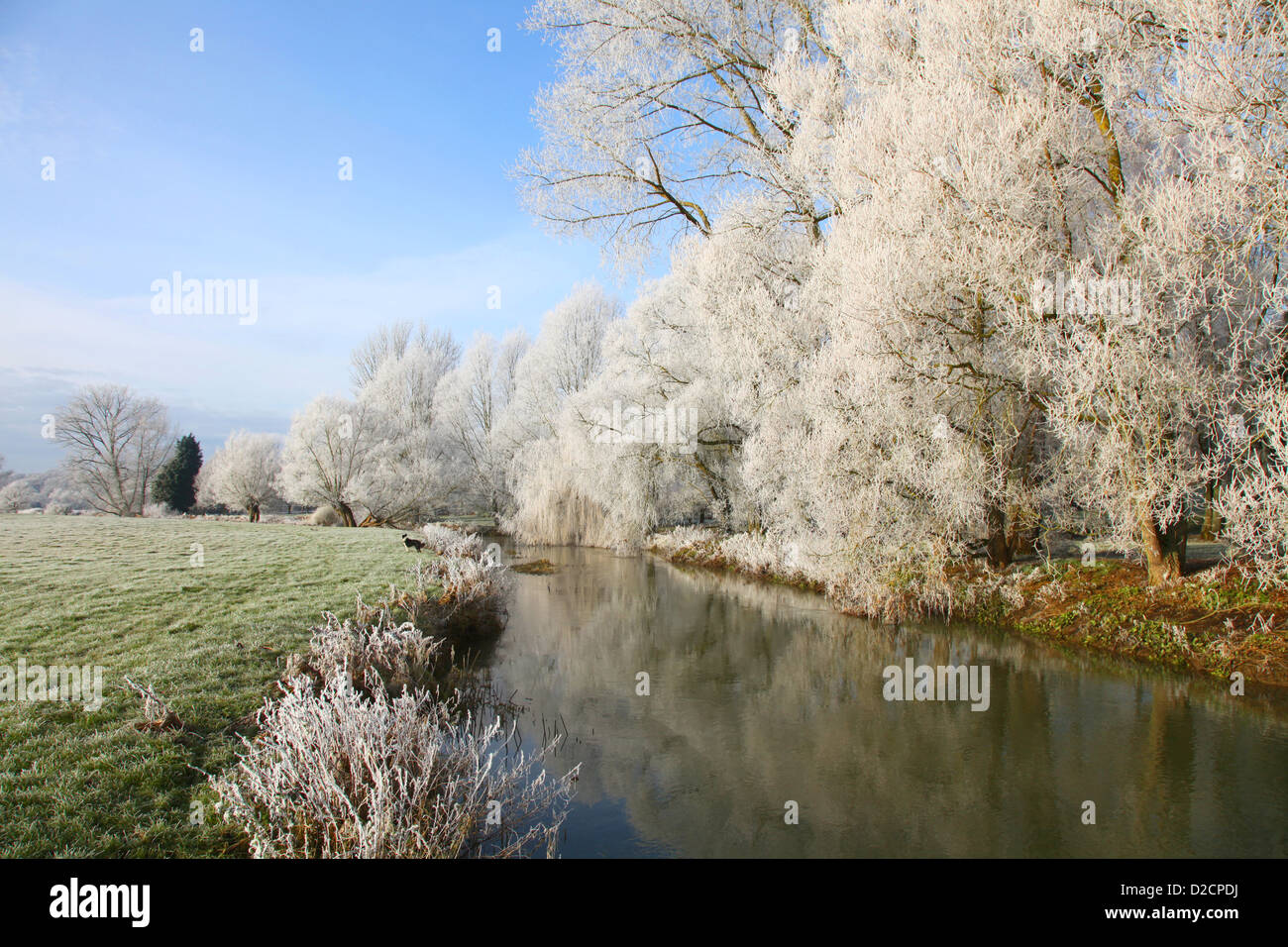 Hawfrost High Resolution Stock Photography and Images - Alamy
