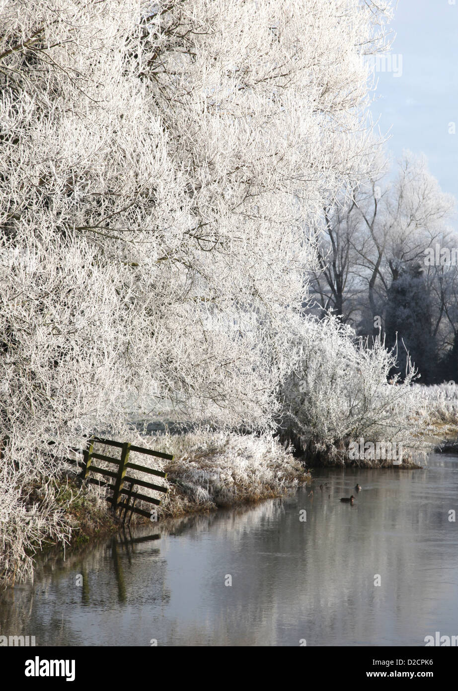 Hawfrost hi-res stock photography and images - Alamy