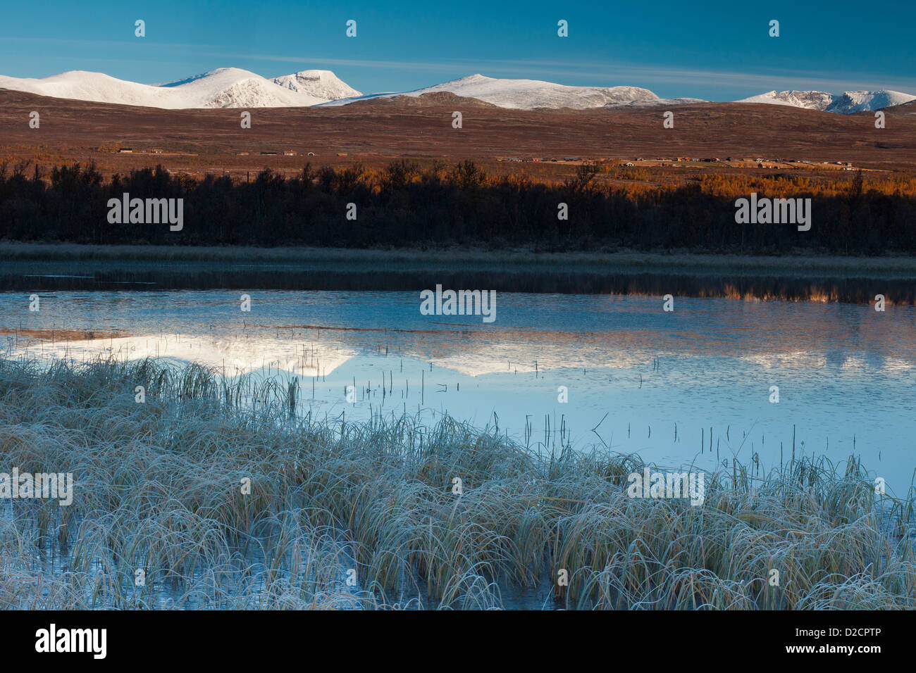 Frosty September morning at Fokstumyra nature reserve, Dovre, Norway ...