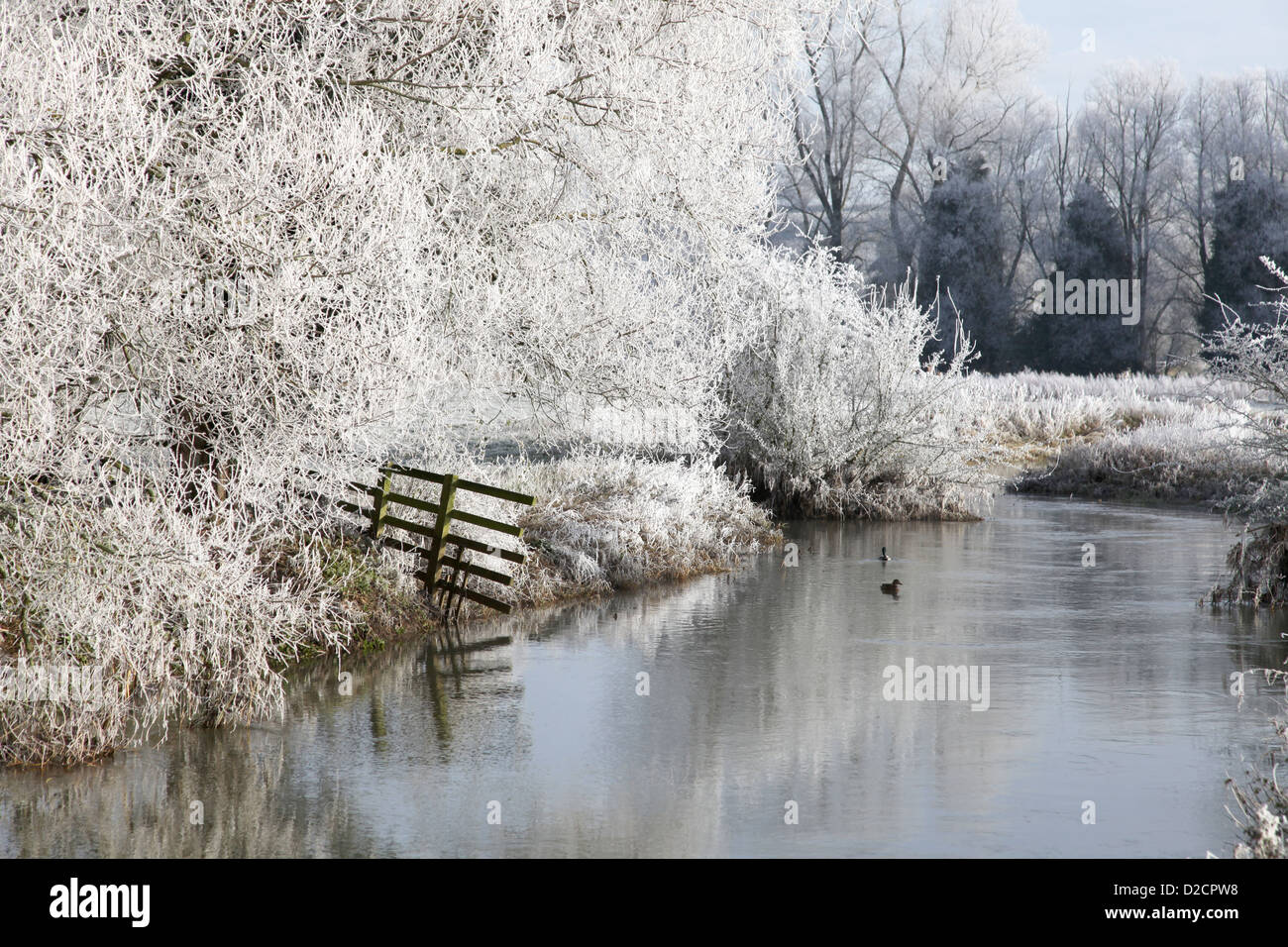 Hawfrost High Resolution Stock Photography and Images - Alamy