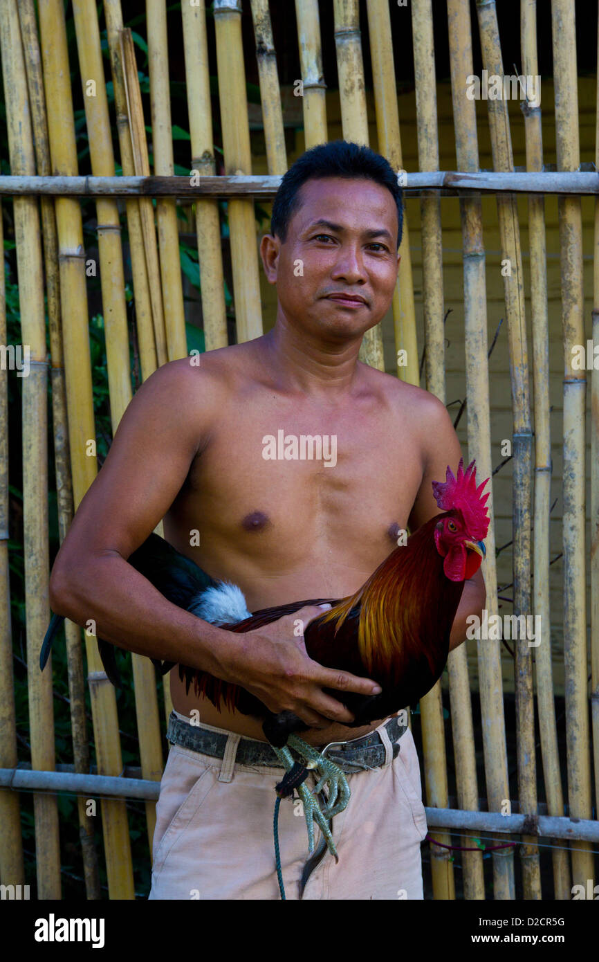 Man and chicken, Puerto Princesa, Palawan,Philippines Stock Photo - Alamy