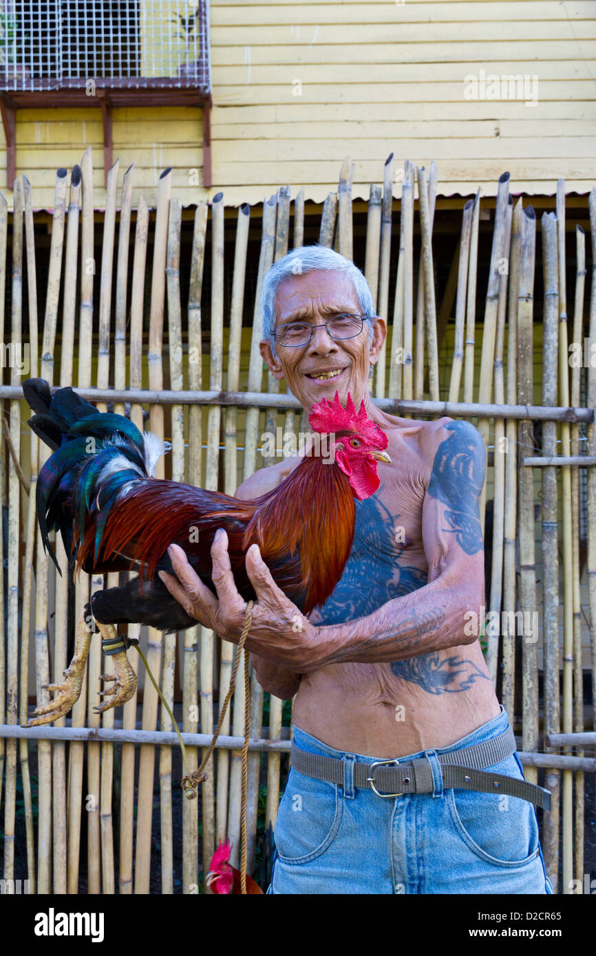 Man and chicken, Puerto Princesa, Palawan,Philippines Stock Photo - Alamy
