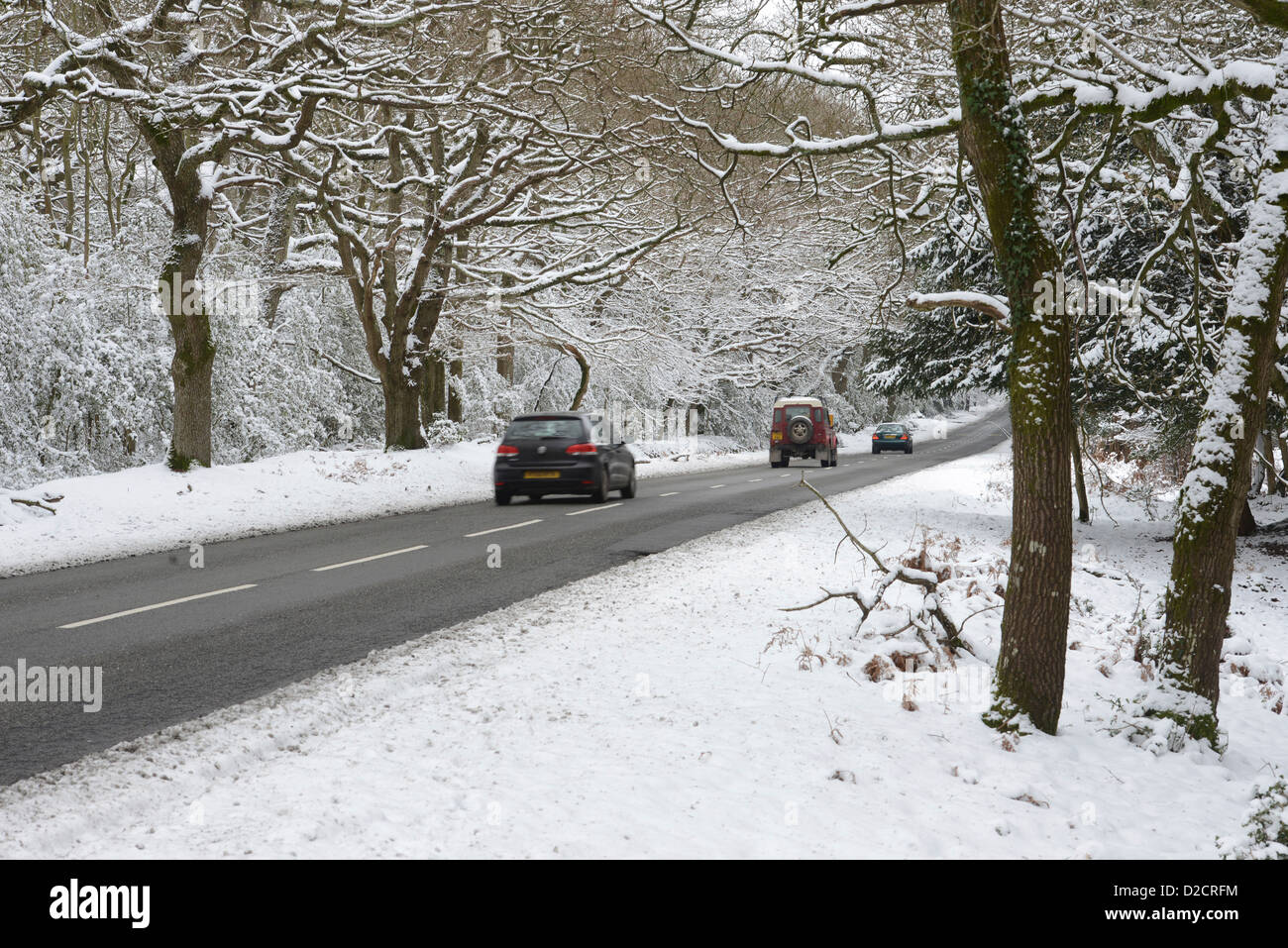New forest ponies in snow hi-res stock photography and images - Alamy