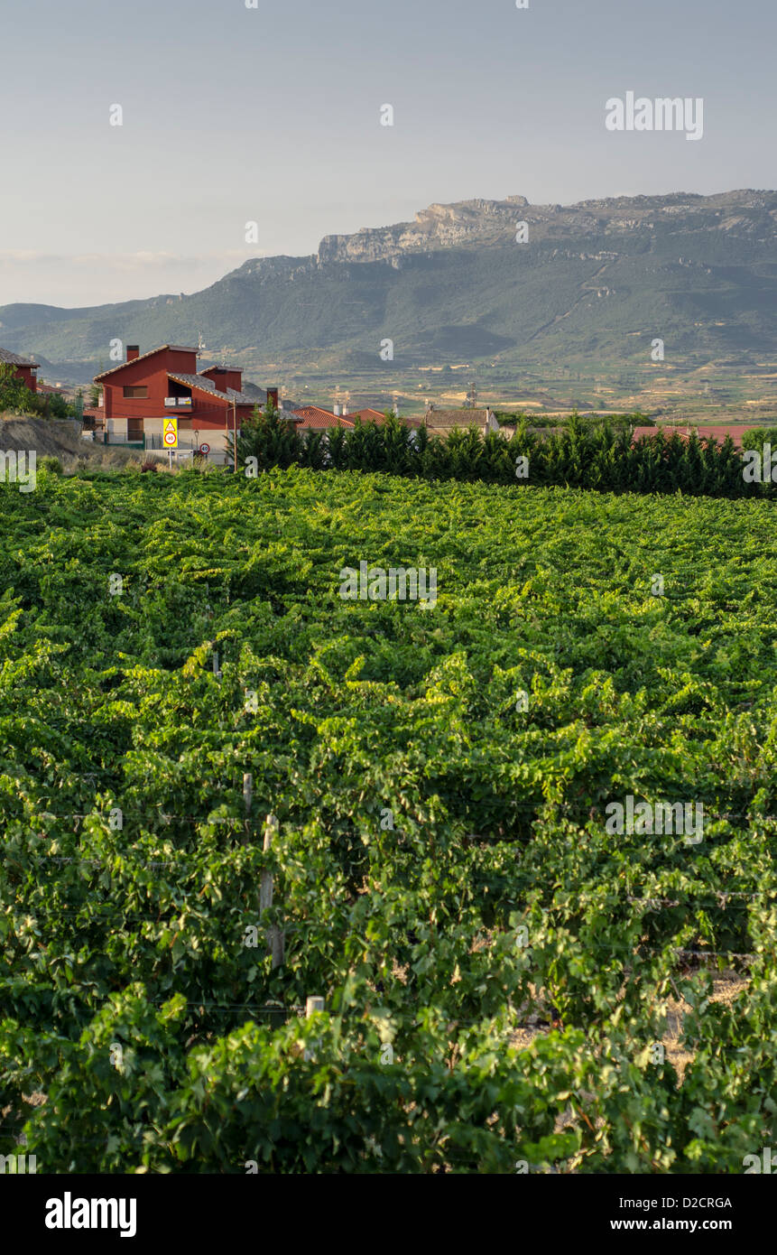 Vivanco hi-res stock photography and images - Alamy