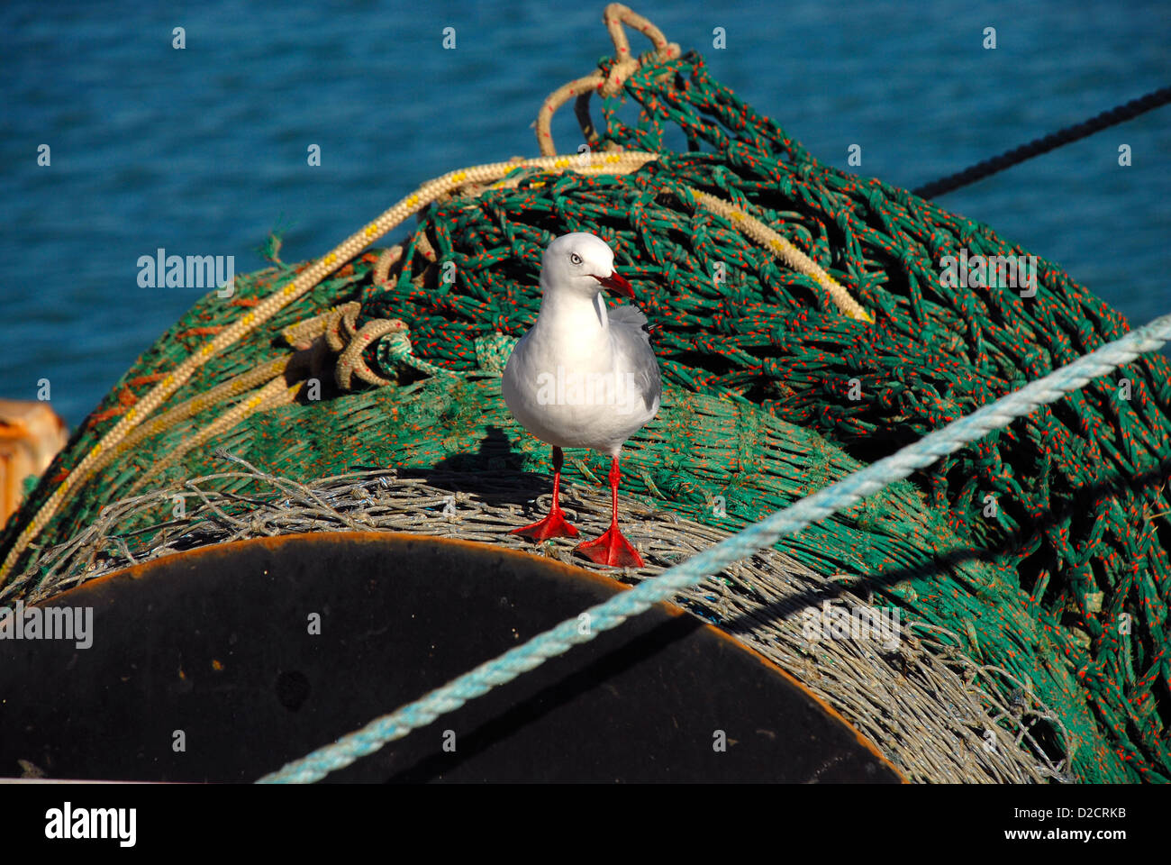 Angry sea hi-res stock photography and images - Alamy