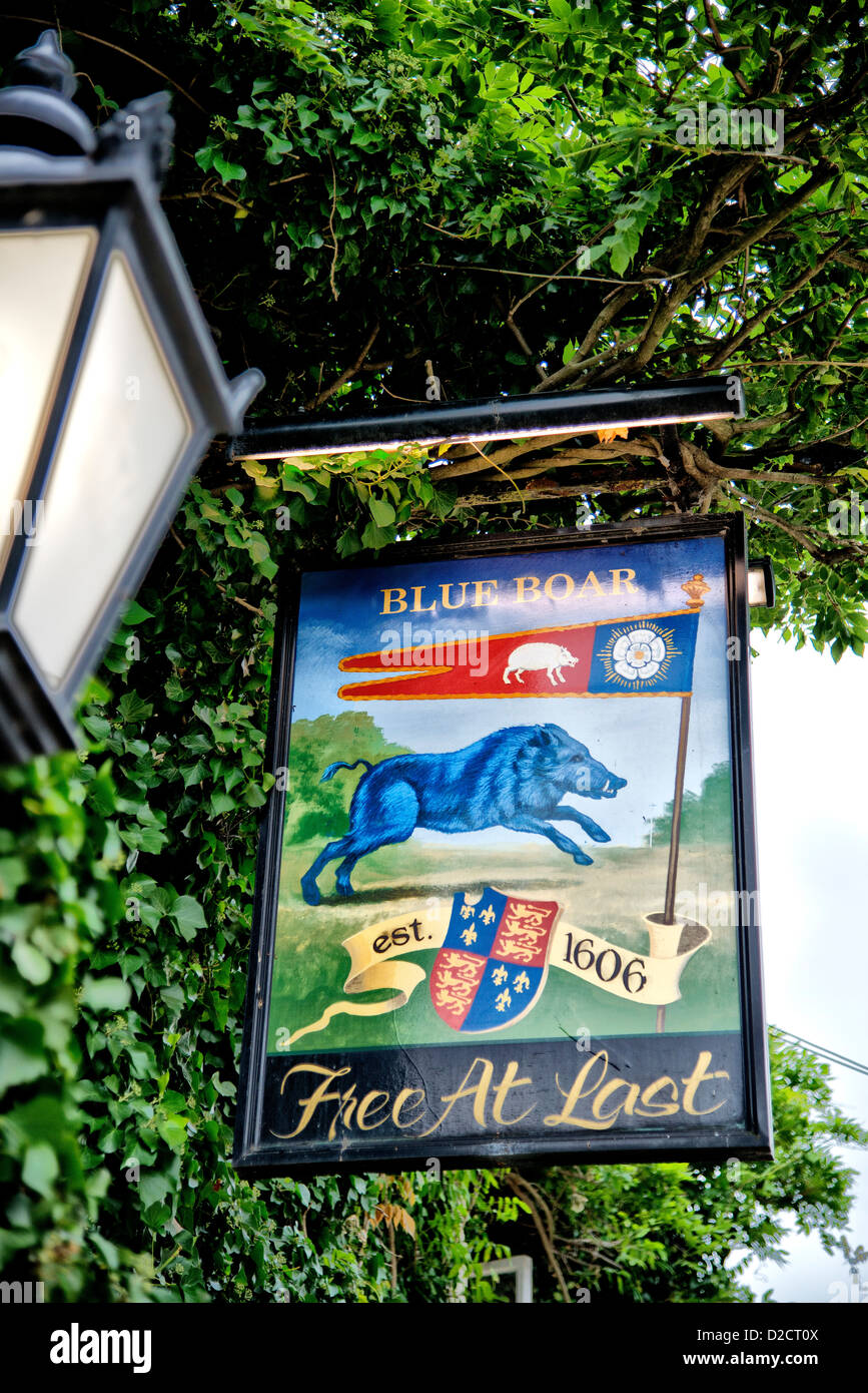 The blue boar hi-res stock photography and images - Alamy