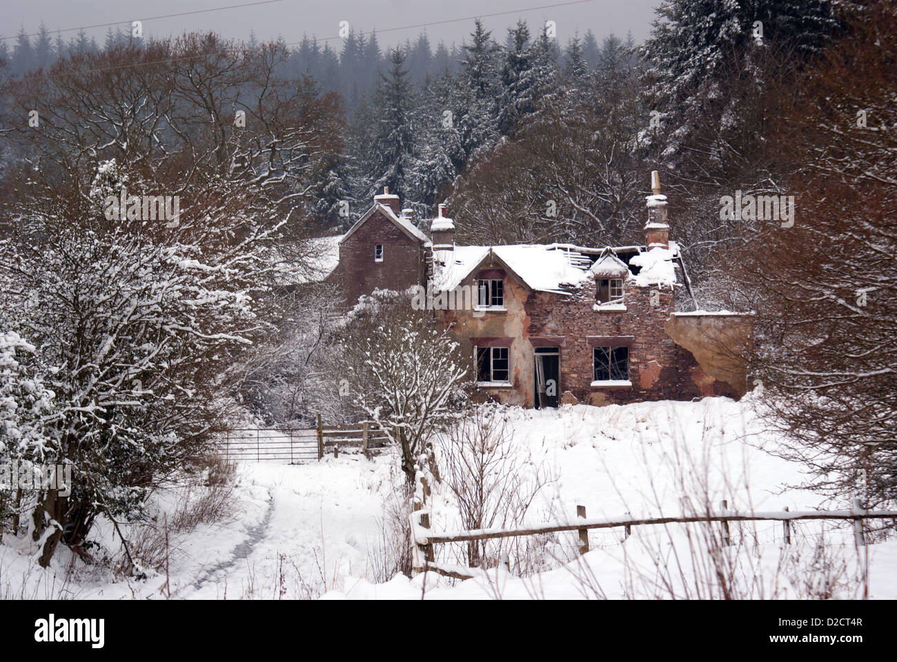 A ruined cottage in the grip of a snowy winter at Blaize Bailey in the ...