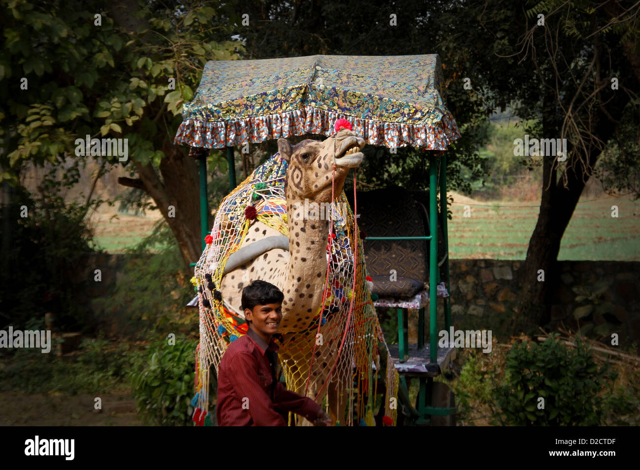 Camel cart driver hi-res stock photography and images - Alamy