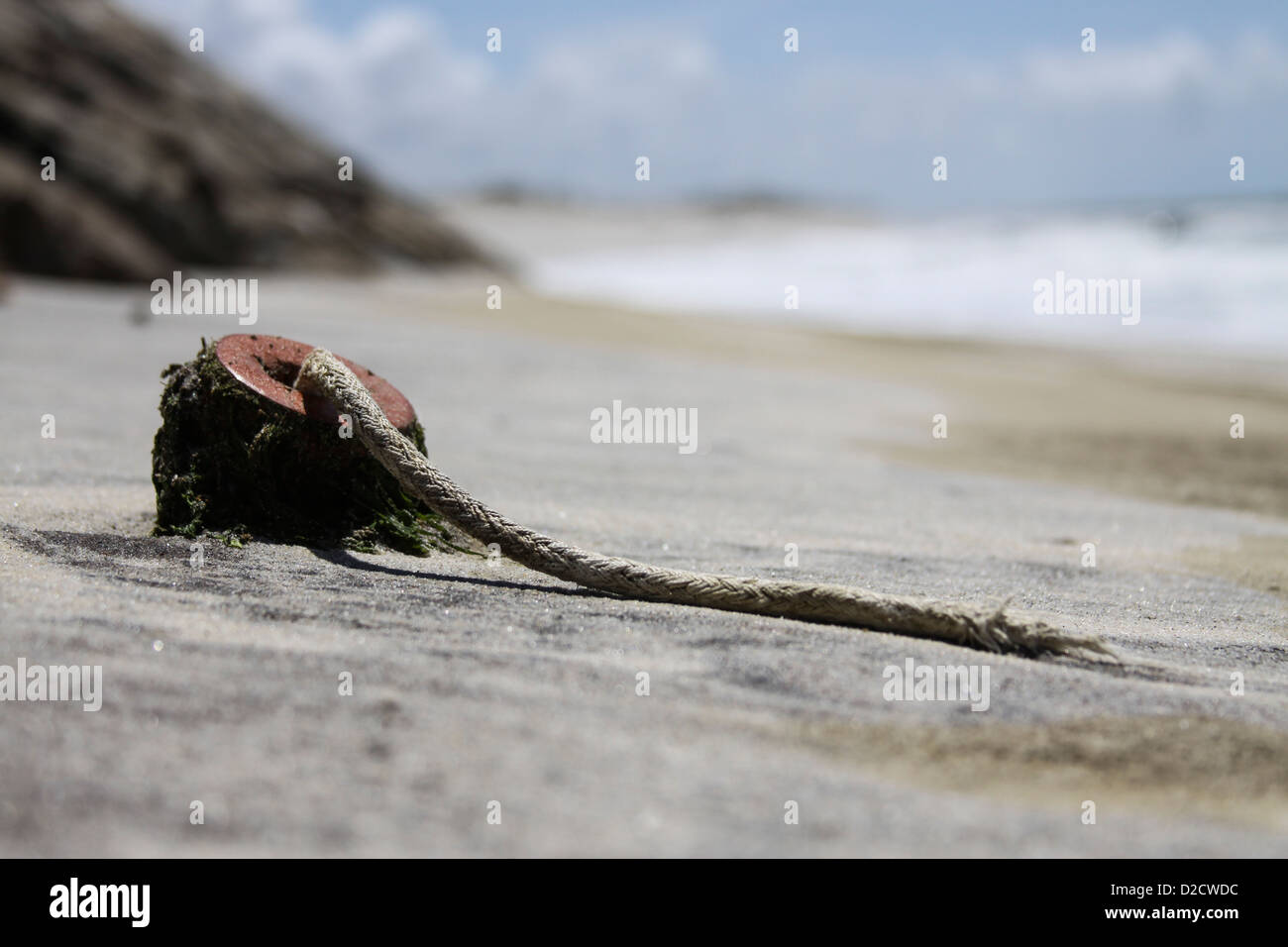 Net floater hi-res stock photography and images - Alamy