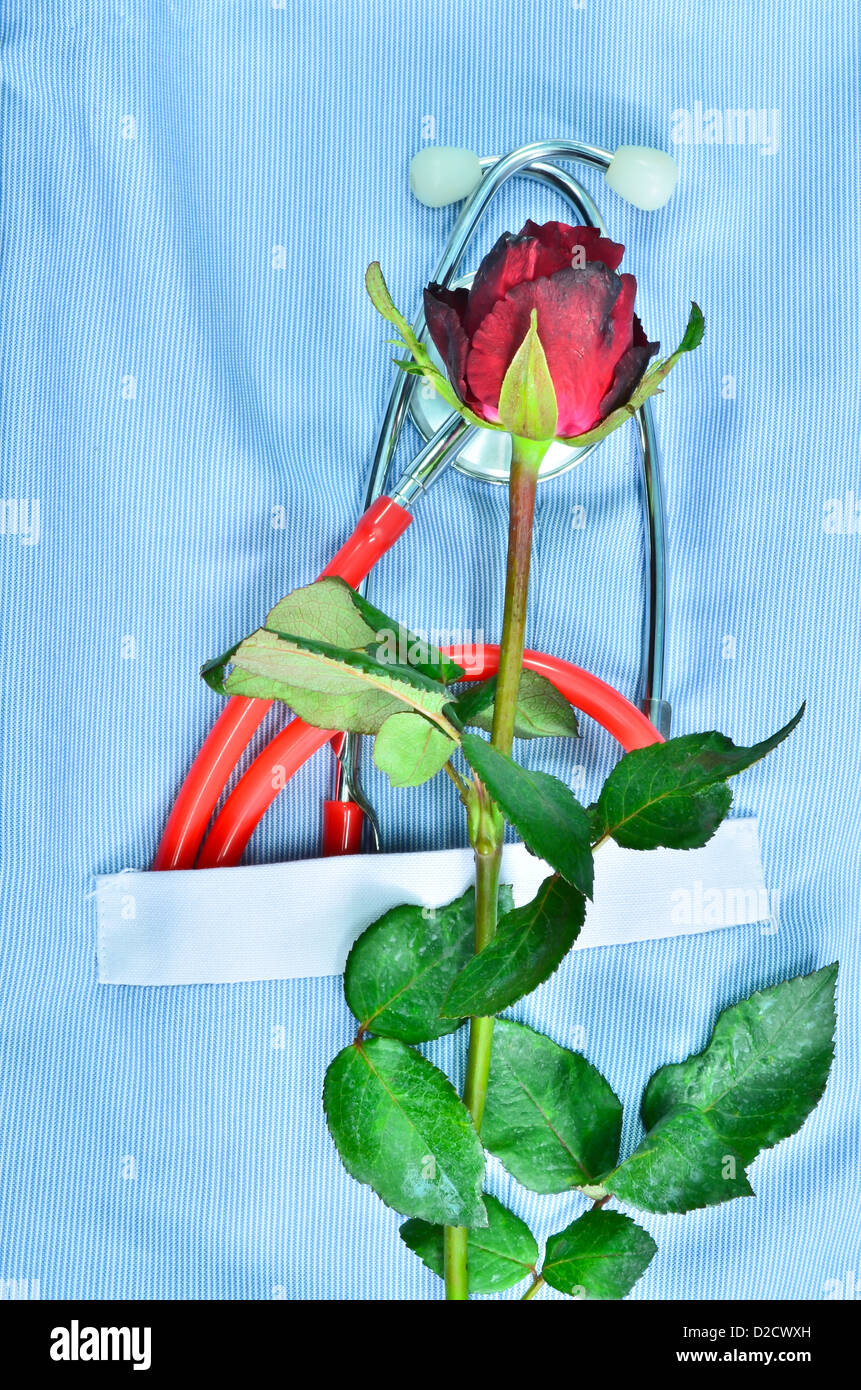 Doctor's stethoscope and rose Stock Photo - Alamy