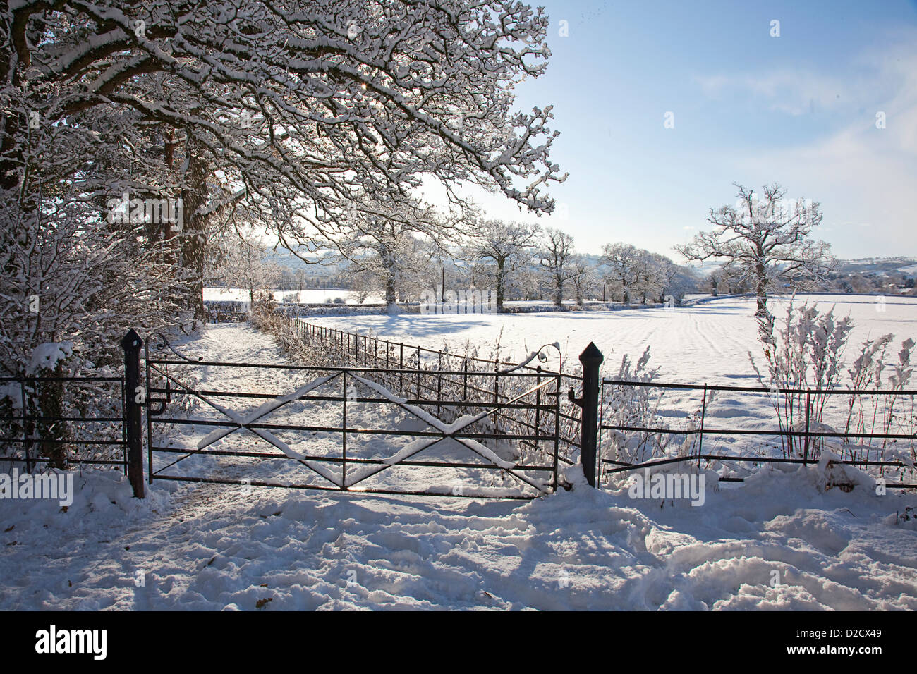A wintry snow scene in Devon, UK Stock Photo - Alamy