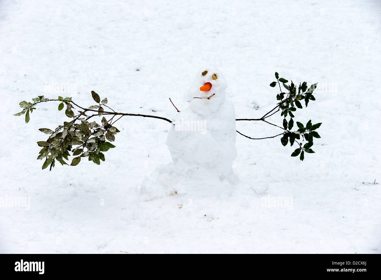 A snowman with branches for arms and a carrot for a nose Stock Photo ...