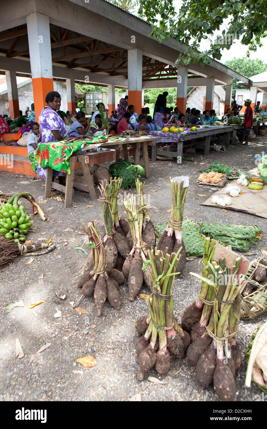 Taro Roots High Resolution Stock Photography and Images - Alamy