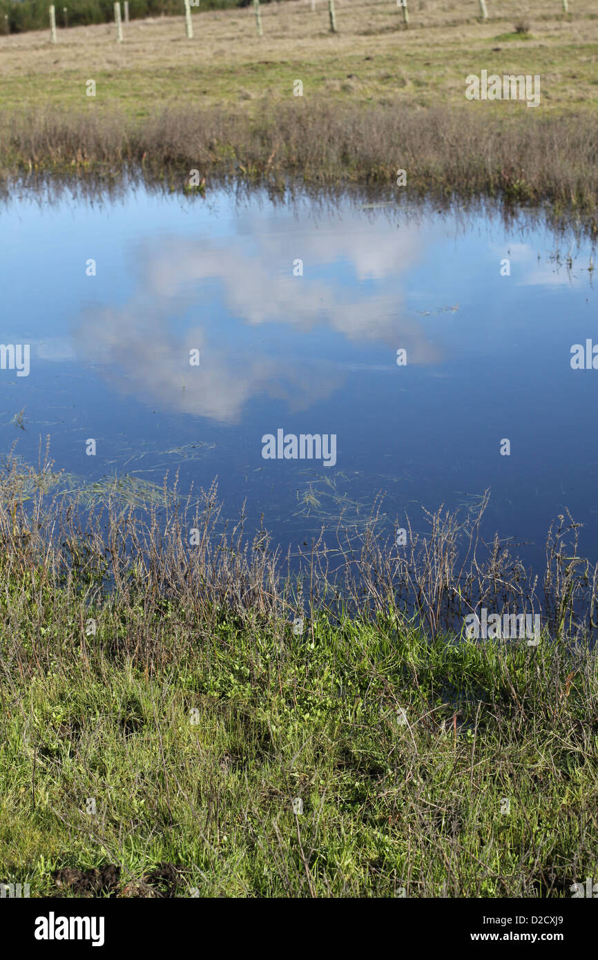 The reflection of clouds and a blue sky in a small pond Stock Photo - Alamy