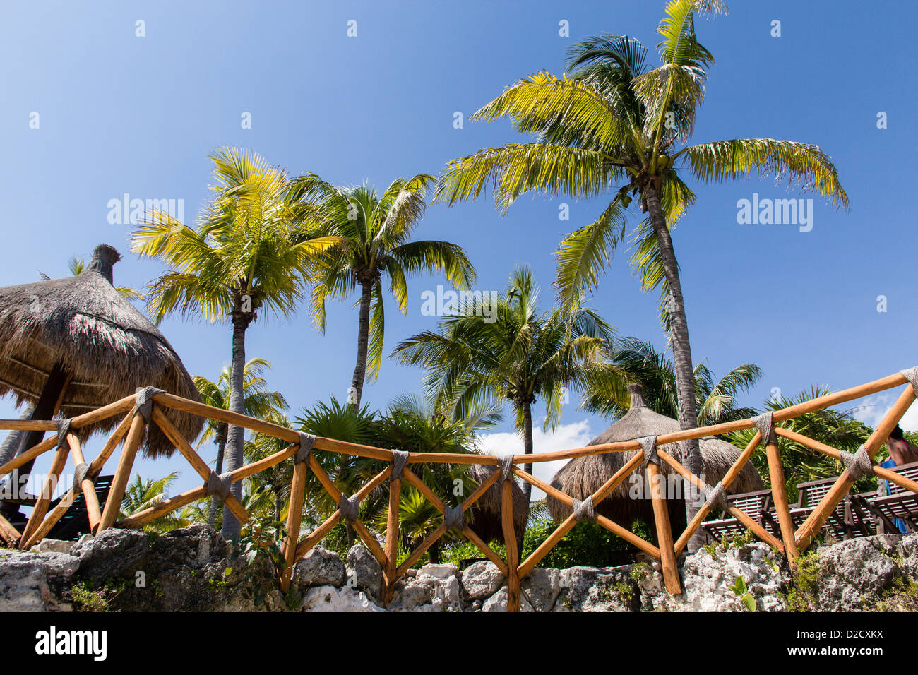 Natural pool area in Xcaret Eco Park, Riviera Maya, Mexico Stock Photo ...