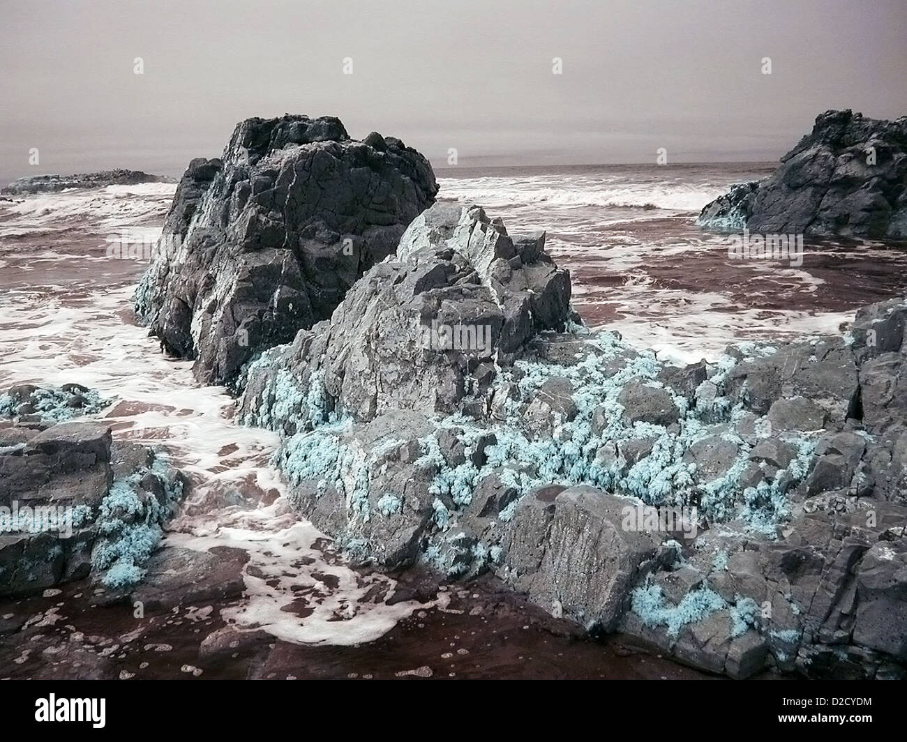 An infrared photograph of the ocean and coast Stock Photo - Alamy
