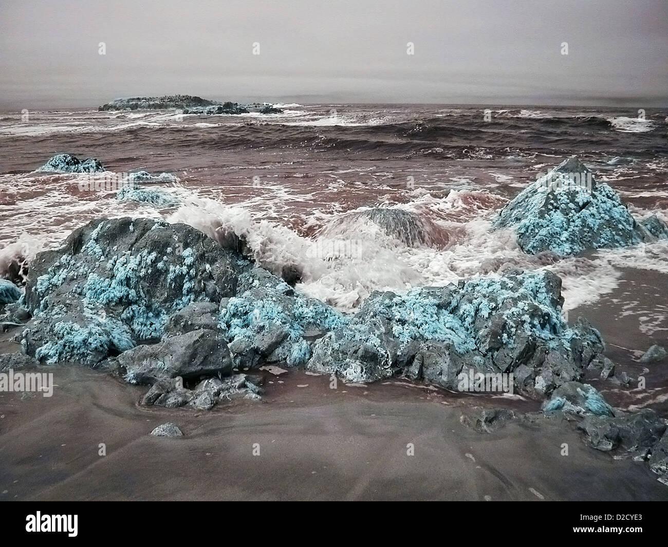 An infrared photograph of the beach Stock Photo - Alamy