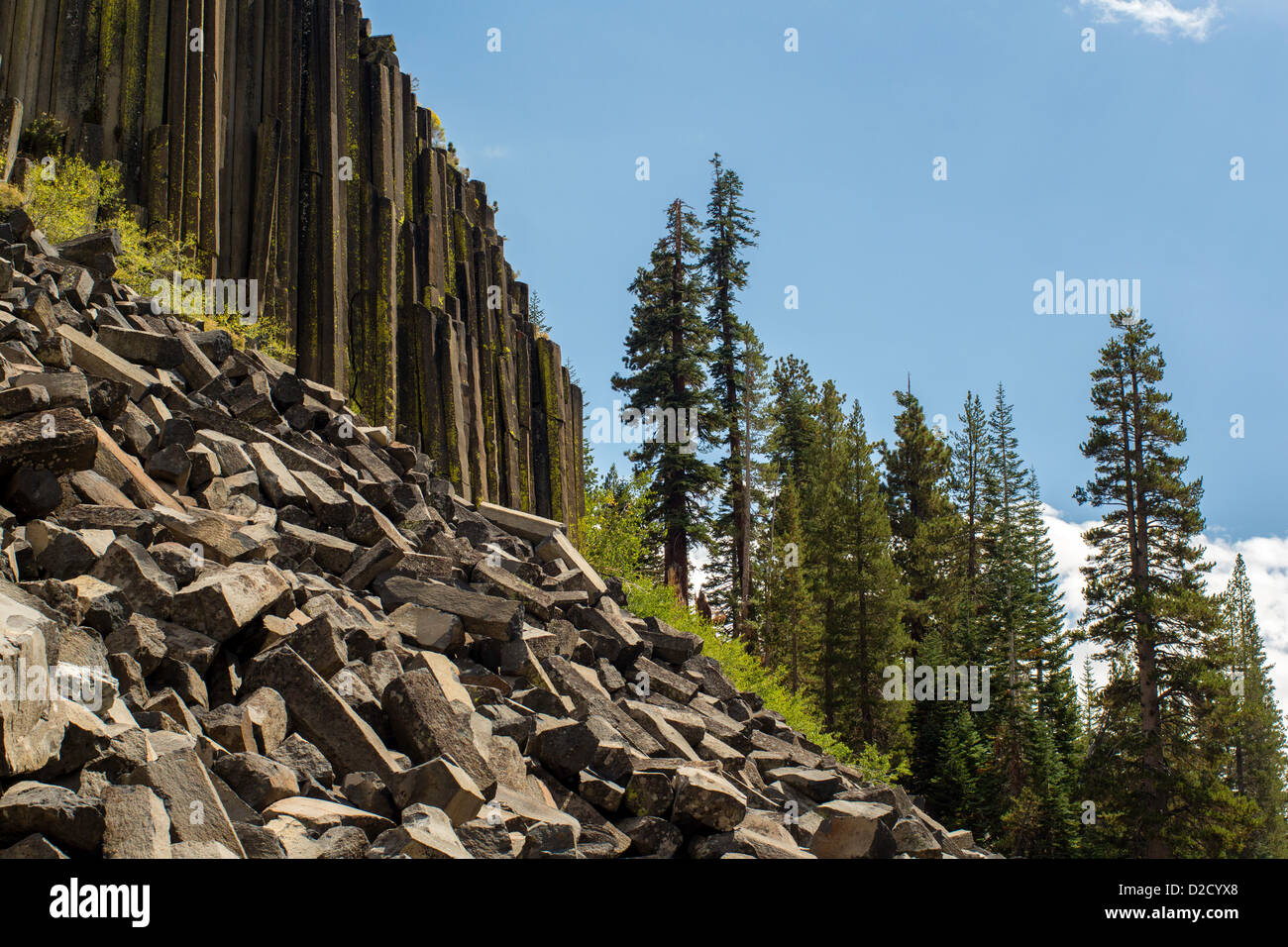 Trees columnar basalt hi-res stock photography and images - Alamy