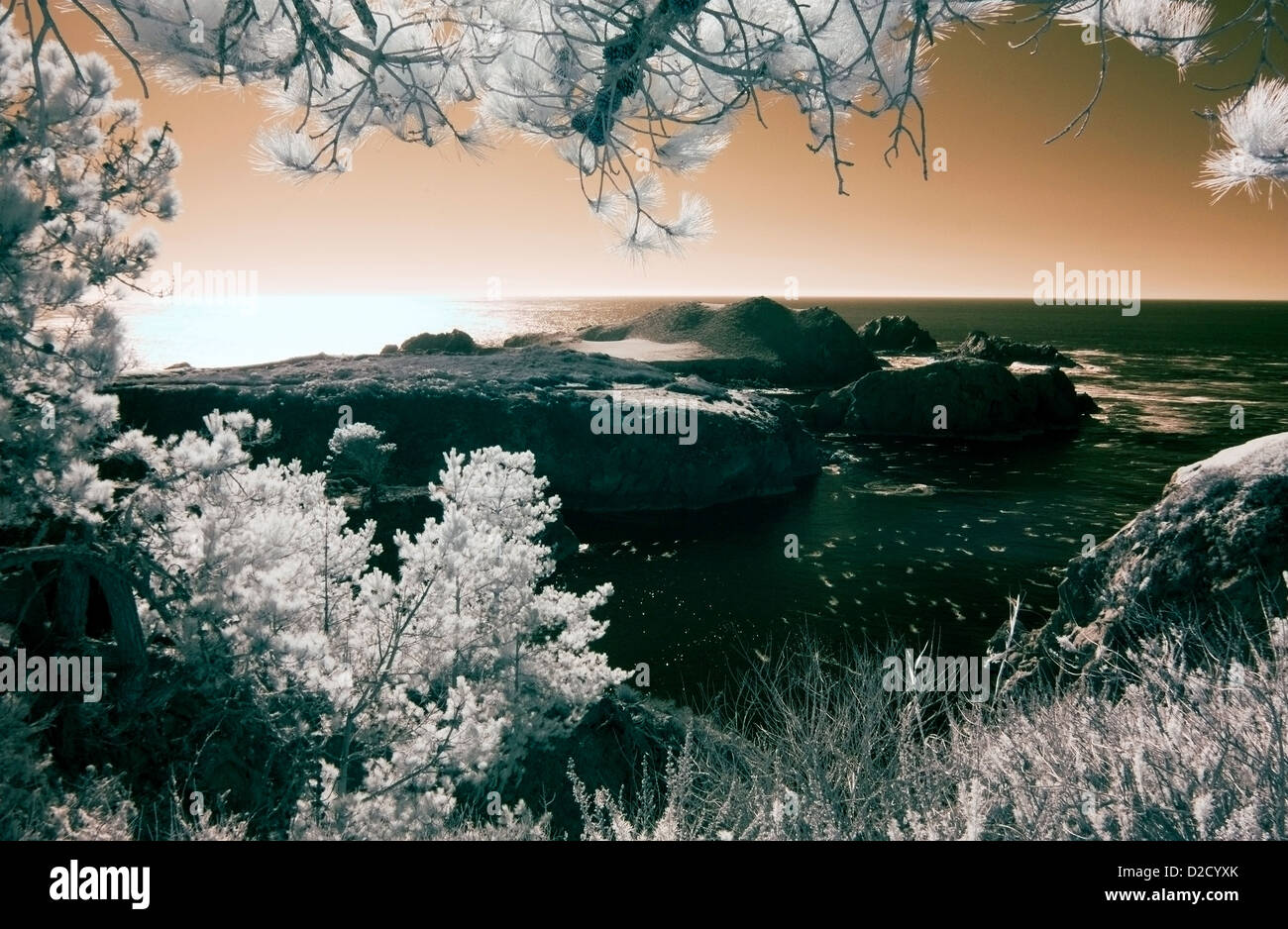 Point lobos at sunset hi-res stock photography and images - Alamy