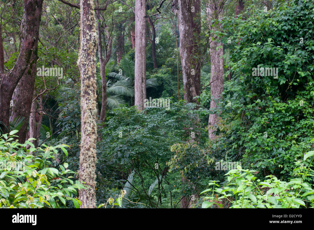 Brisbane wallpaper hi-res stock photography and images - Alamy