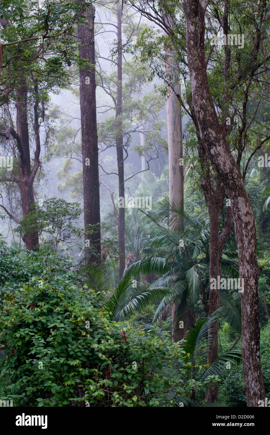 Mount glorious queensland hi-res stock photography and images - Alamy