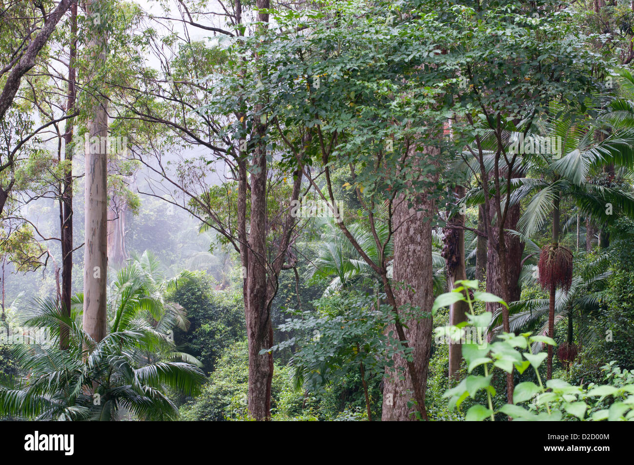 Mount glorious queensland hi-res stock photography and images - Alamy