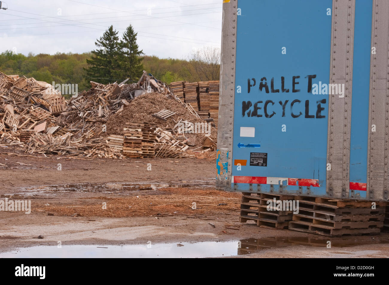 Stacks of pallets at pallet recyling business in Michigan, USA Stock ...