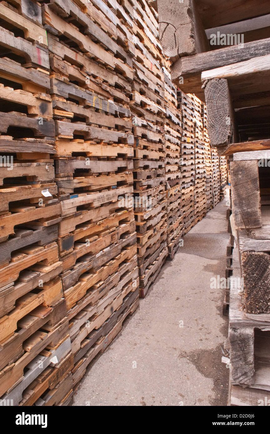 Stacks of pallets at pallet recyling business in Michigan, USA Stock ...