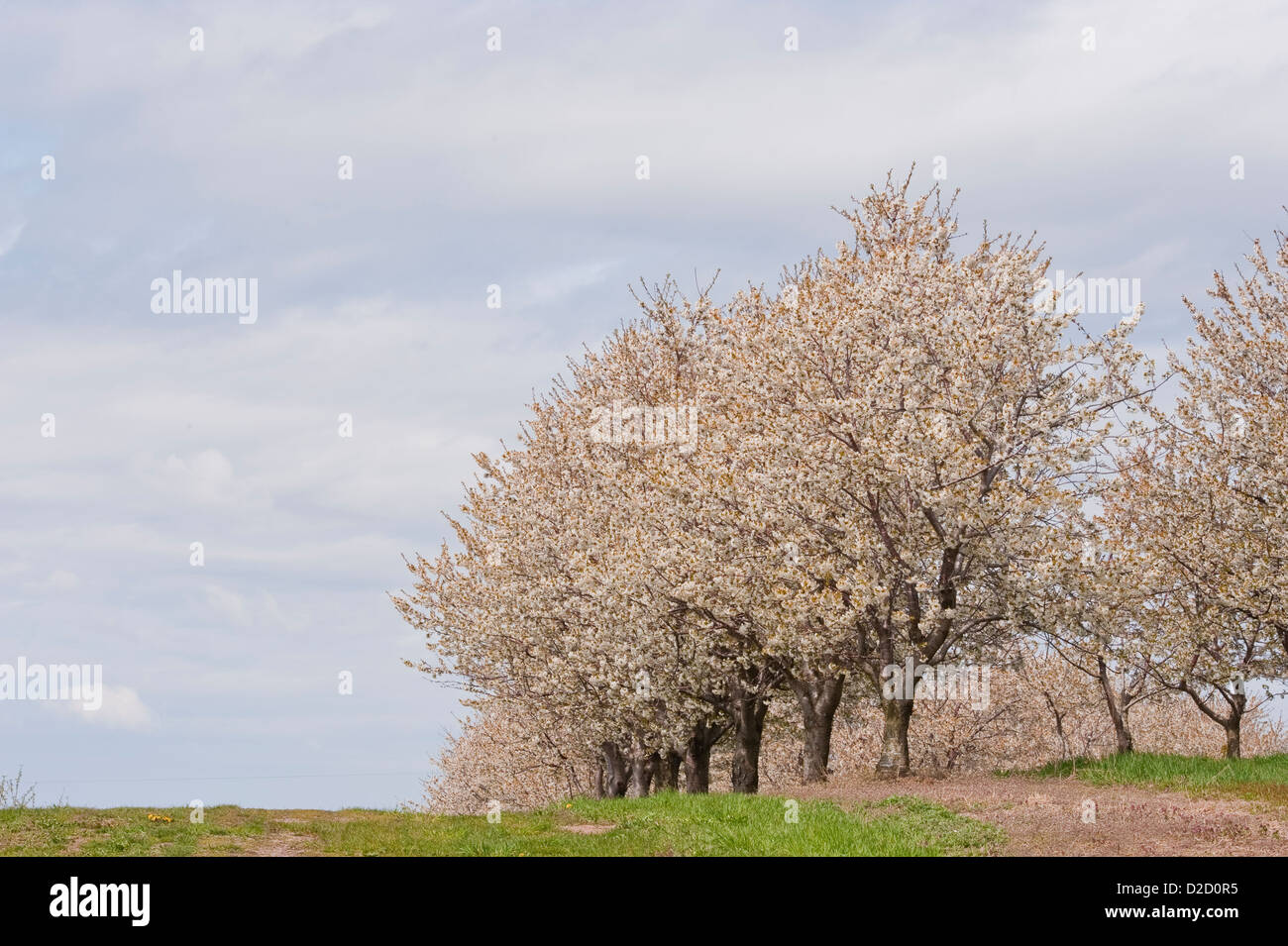 Michigan and agriculture hi-res stock photography and images - Alamy