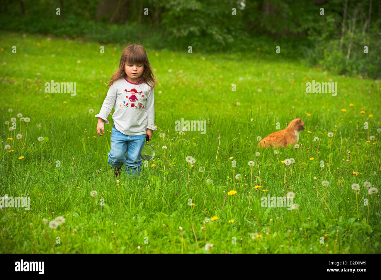 Cute girl with her cat exploring in a grassy Indiana, USA Stock Photo ...