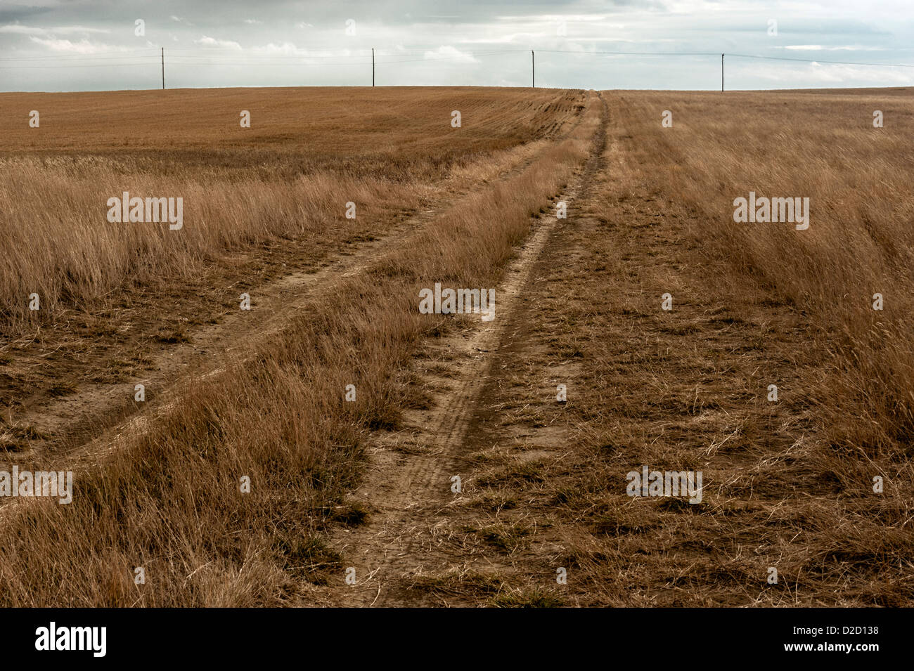 Two-track road through the priarie of eatern Montana, USA Stock Photo ...