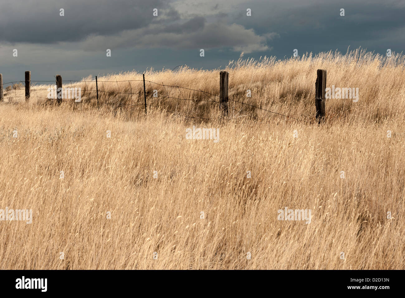 Old western fence hi-res stock photography and images - Alamy
