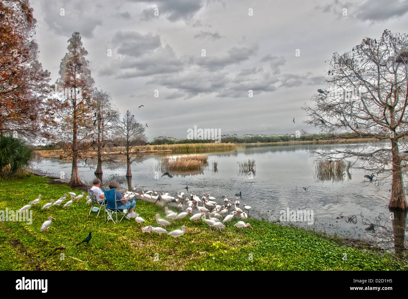 Birds join picnic at Lake Parker Park along the shores of Lake Parker ...