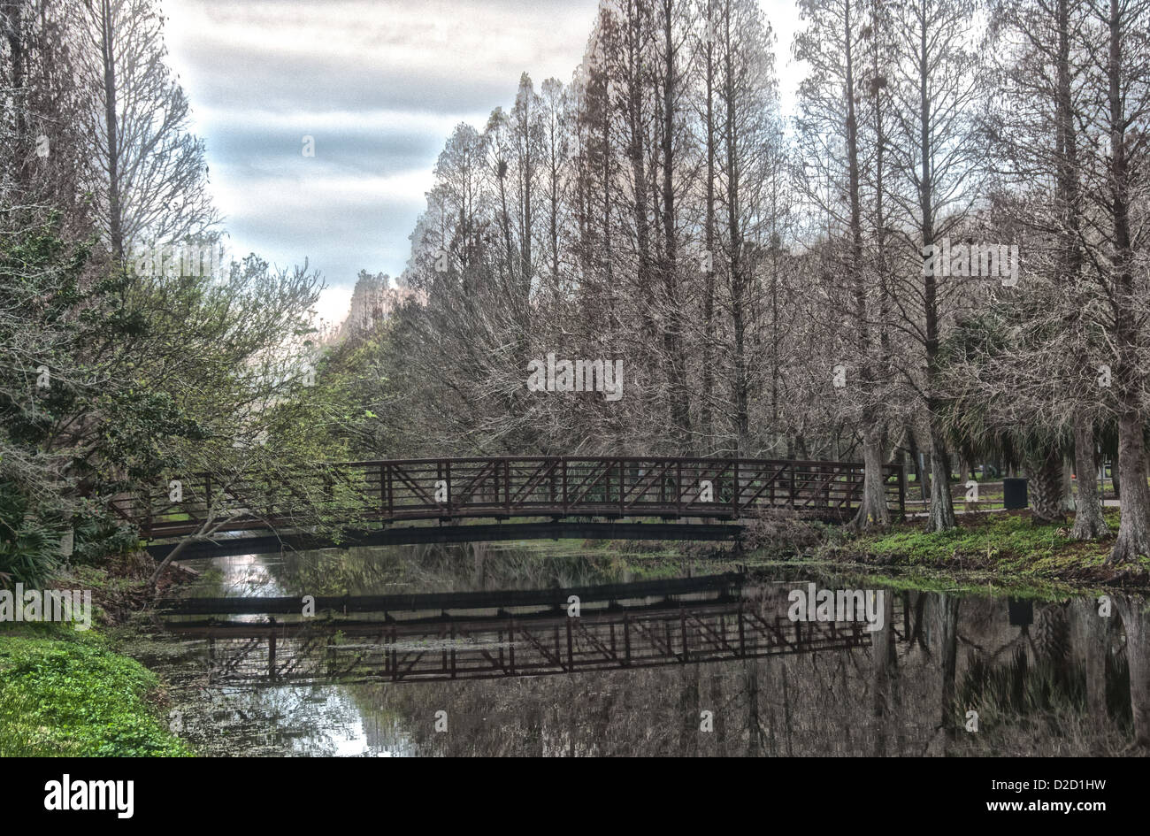 Foot bridge at Lake Parker Park along the shores of Lake Parker in ...